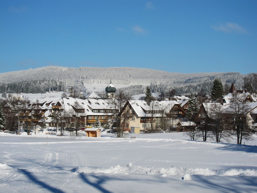 HINTERZARTEN = 2 reservierte Angebote | Strulik Immobilien